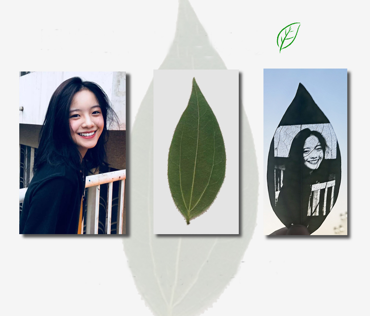 How is leaf carving made? – ktclubs.com